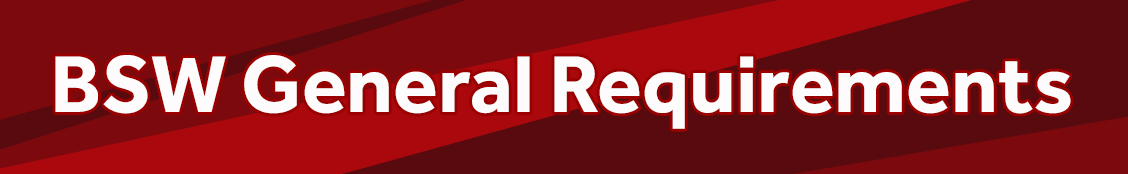 BSW General Requirements | Stony Brook University School of Social Welfare